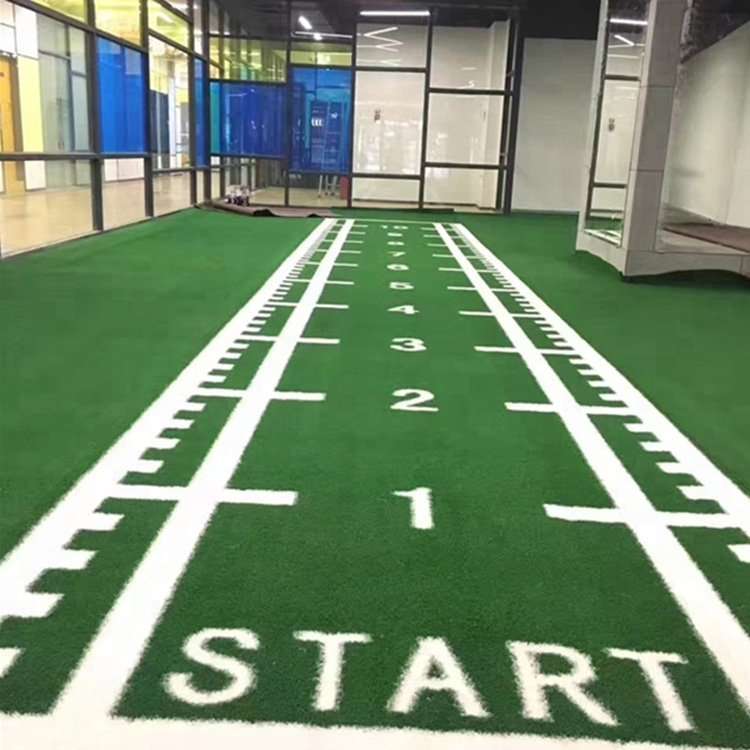 Plastic Lawn Turf – Custom Size, Eco-Friendly PP Material